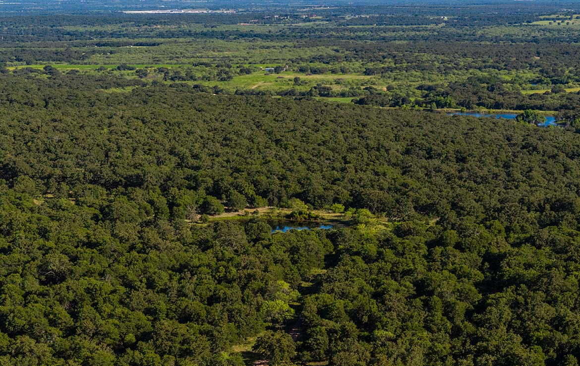 Double W Ranch - Texas Ranch Sales, LLC