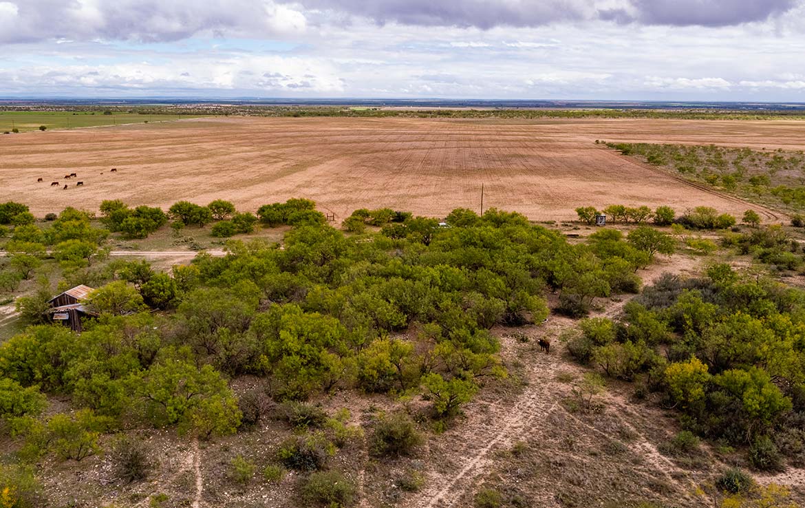 White Wing Farms - Texas Ranch Sales, LLC