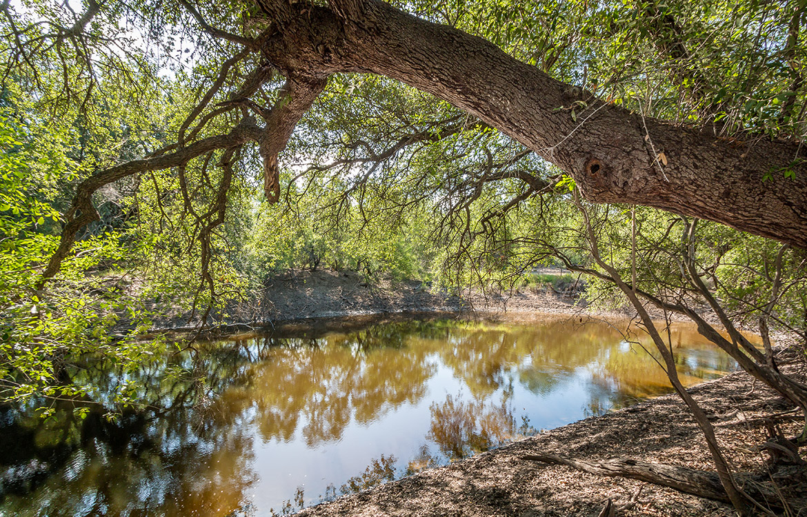 Titan Ranch - Texas Ranch Sales, LLC