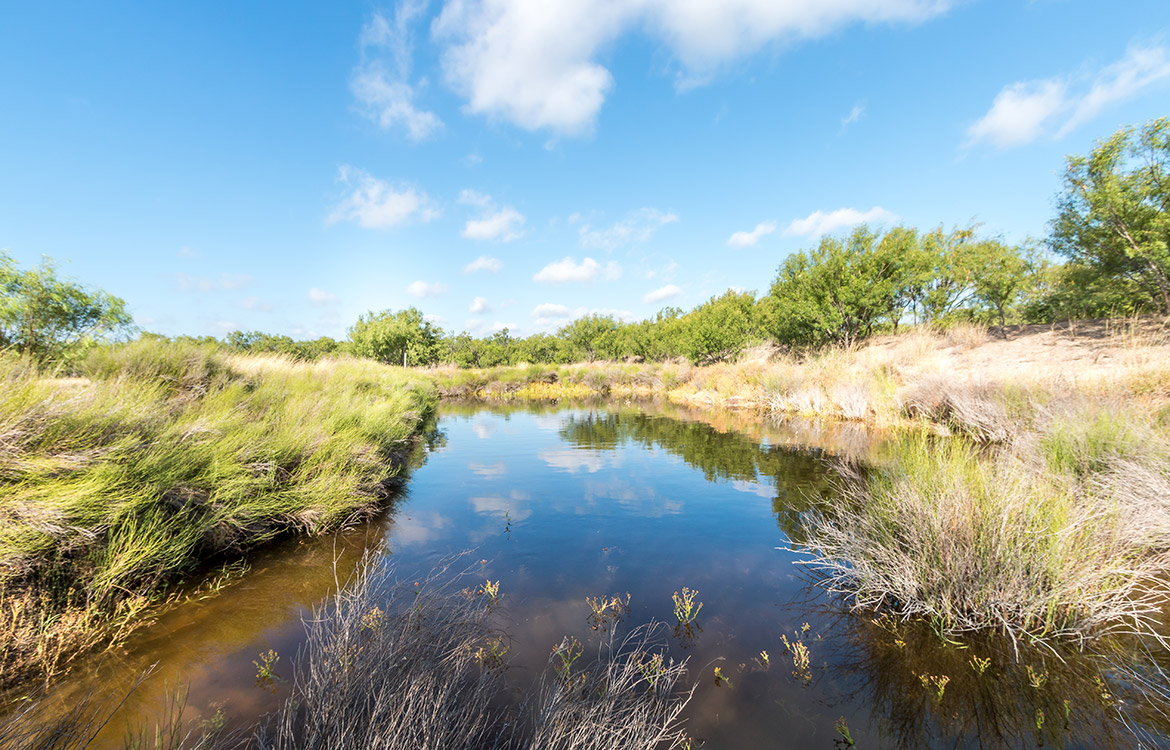 Titan Ranch - Texas Ranch Sales, LLC