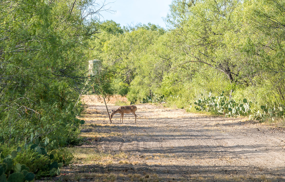 Titan Ranch - Texas Ranch Sales, LLC