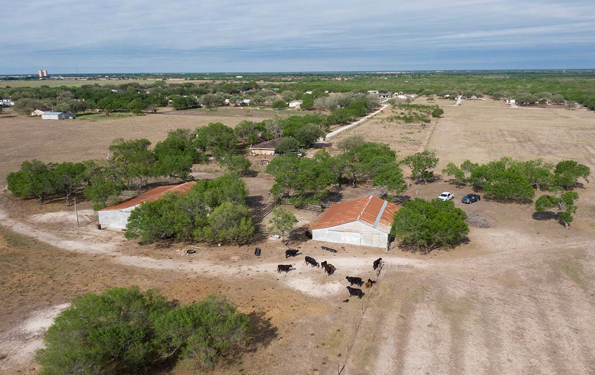 Heart of Alice Ranch - Texas Ranch Sales, LLC