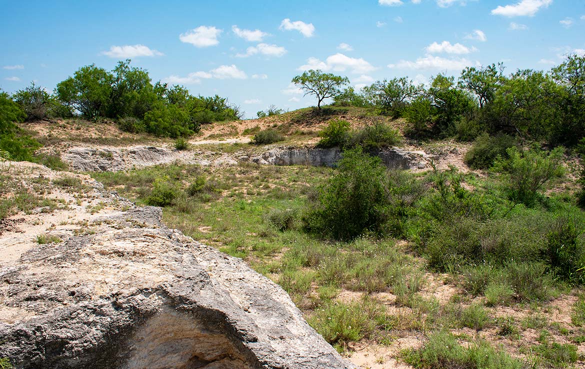 El Milagro Ranch - Texas Ranch Sales, LLC