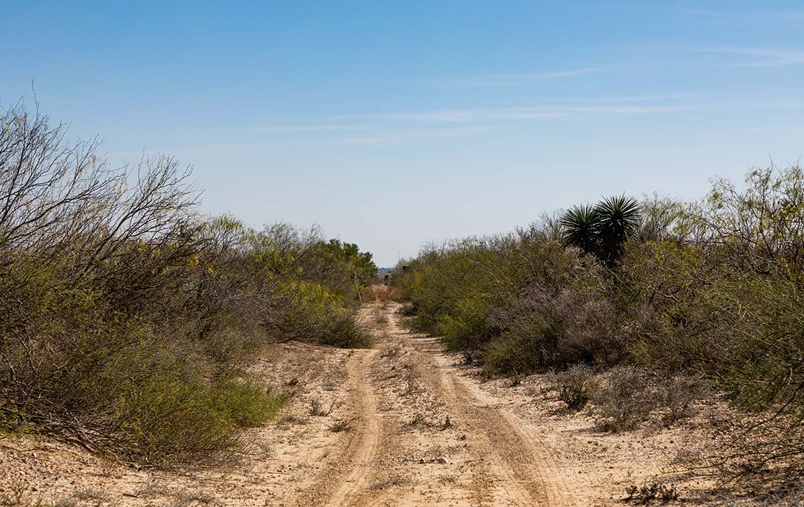 Roma Ranch - Texas Ranch Sales, LLC