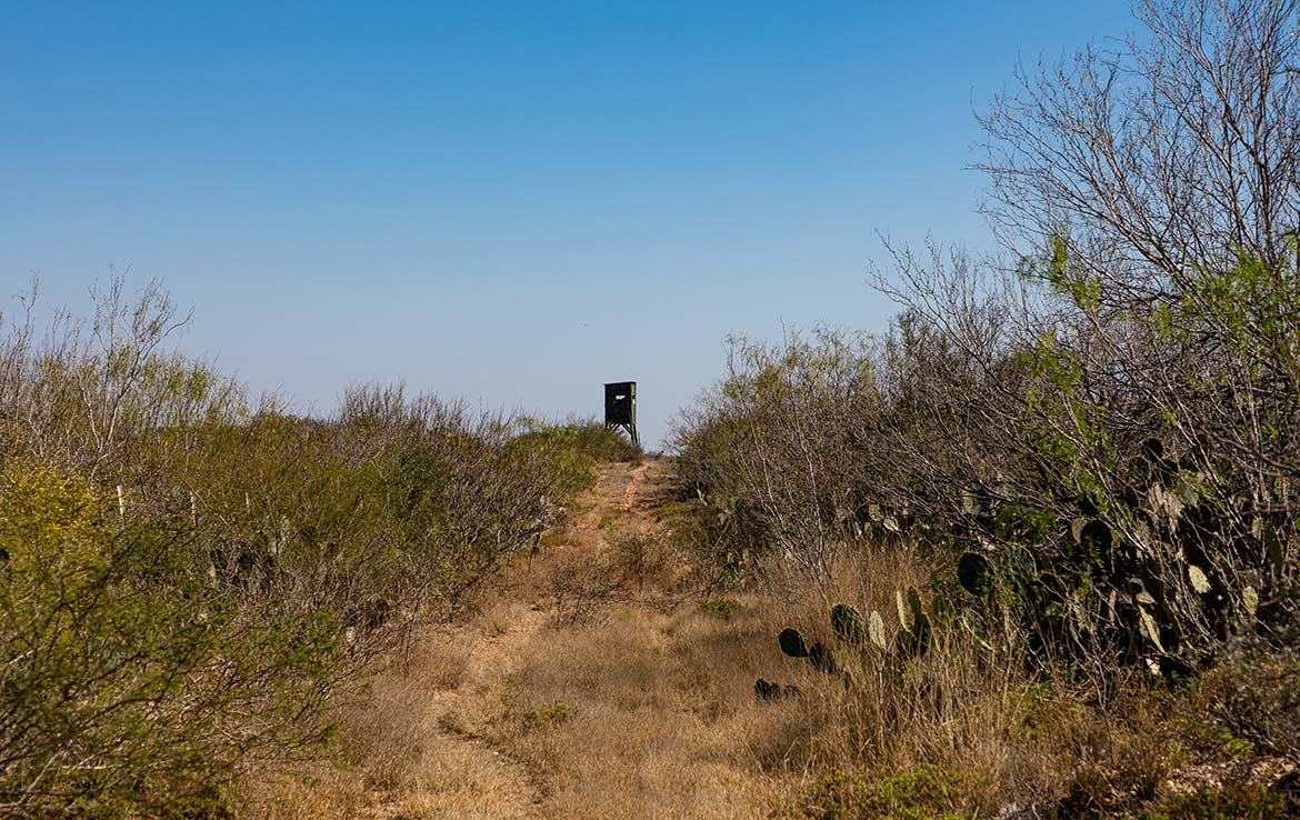 Roma Ranch - Texas Ranch Sales, LLC