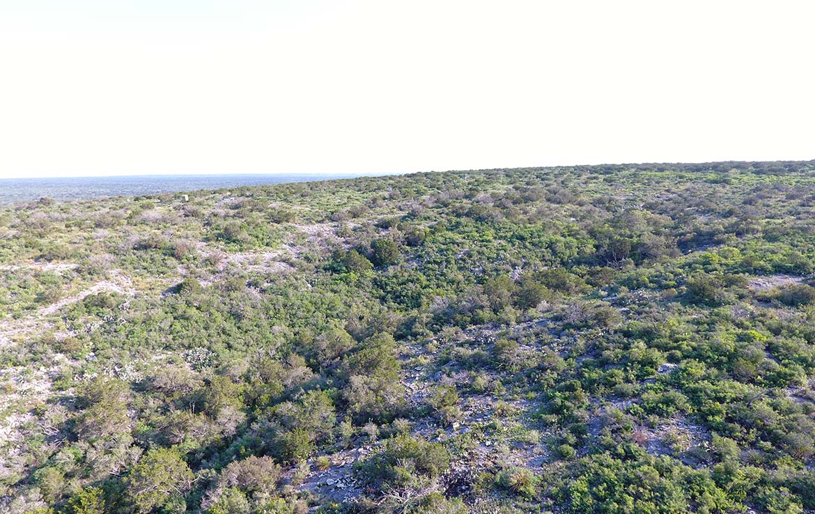 Big R Ranch - Texas Ranch Sales, LLC